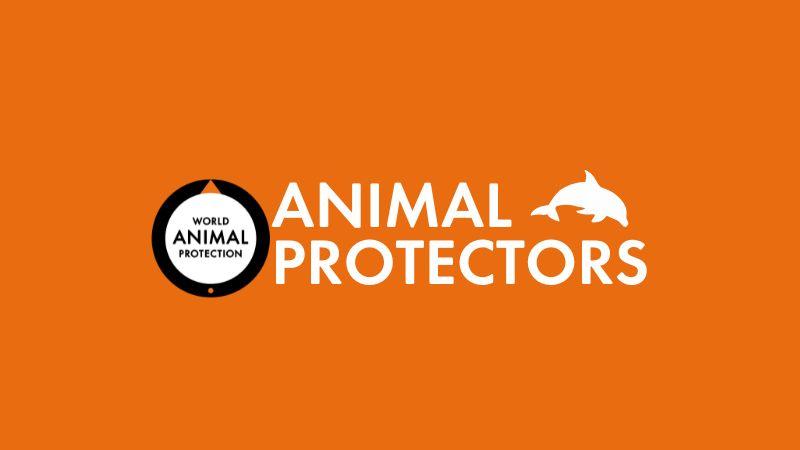 Become an Animal Protector today | World Animal Protection UK | Take action